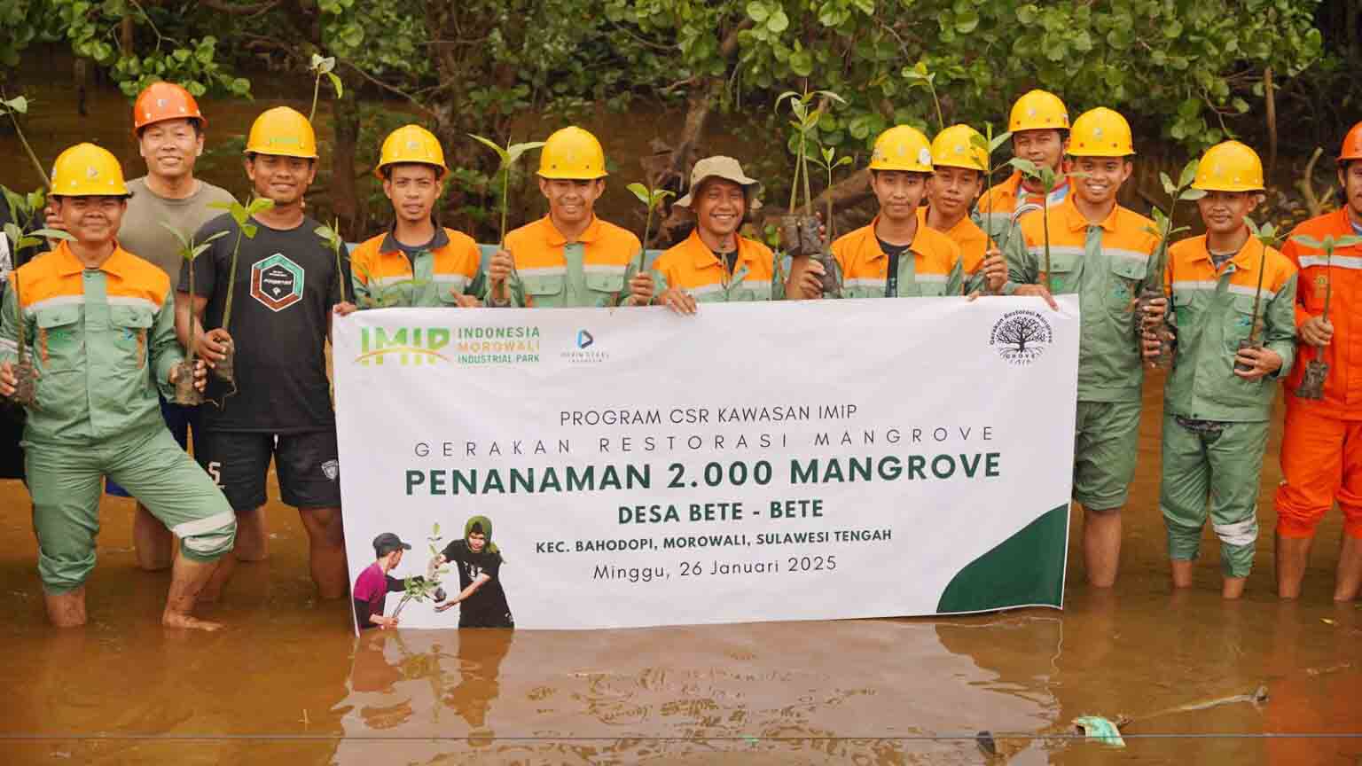 IMIP Perkuat Ekosistem Pesisir Morowali dengan Tanam Mangrove - Eranesia.id